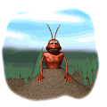 Ants Animals Animated Clipart GIF Free