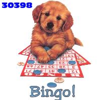 Bingo Games Animated Clipart GIF Free