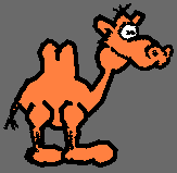 Camels Animals Animated Clipart GIF Free