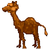 Camels Animals Animated Clipart GIF Free