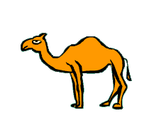 Camels Animals Animated Clipart GIF Free
