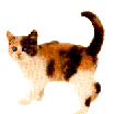 Cats Animals Animated Clipart GIF Free