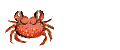 Crabs Food Animated Clipart GIF Free