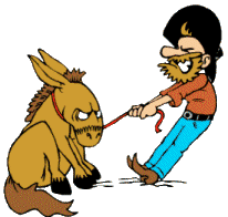Donkeys Animals Animated Clipart GIF Free