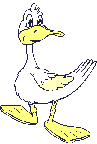 Ducks Animals Animated Clipart GIF Free