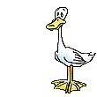 Ducks Animals Animated Clipart GIF Free