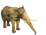 Elephants Animals Animated Clipart GIF Free