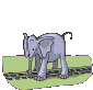 Elephants Animals Animated Clipart GIF Free