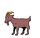 Goats Animals Animated Clipart GIF Free