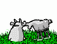 Goats Animals Animated Clipart GIF Free