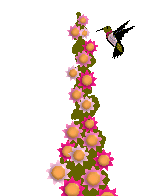 Hummingbirds Animals Animated Clipart GIF Free