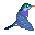 Hummingbirds Animals Animated Clipart GIF Free