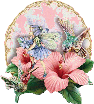 Hummingbirds Animals Animated Clipart GIF Free