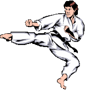 Karate Sports Animated Clipart GIF Free