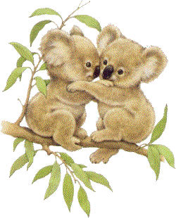 Koala Animals Animated Clipart GIF Free