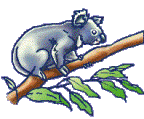 Koala Animals Animated Clipart GIF Free
