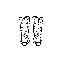 Line Dancing Lifestyle Animated Clipart GIF Free