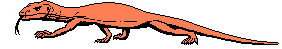 Lizards Animals Animated Clipart GIF Free