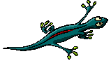 Lizards Animals Animated Clipart GIF Free