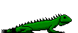 Lizards Animals Animated Clipart GIF Free