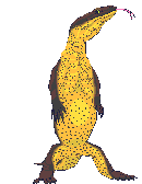 Lizards Animals Animated Clipart GIF Free