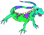 Lizards Animals Animated Clipart GIF Free