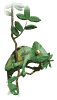 Lizards Animals Animated Clipart GIF Free