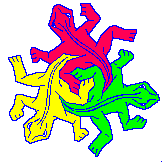 Lizards Animals Animated Clipart GIF Free