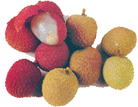 Lychees Animals Animated Clipart GIF Free