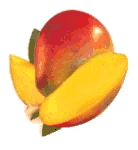 Mangos Food Animated Clipart GIF Free