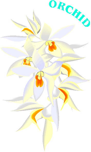 Orchids Flowers Animated Clipart GIF Free