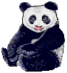 Pandas Animals Animated Clipart GIF Free