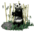 Pandas Animals Animated Clipart GIF Free