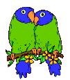 Parrots Animals Animated Clipart GIF Free