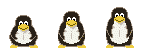 Penguins Animals Animated Clipart GIF Free