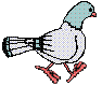 Pigeons Animals Animated Clipart GIF Free