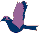 Pigeons Animals Animated Clipart GIF Free