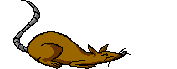 Rats Animals Animated Clipart GIF Free