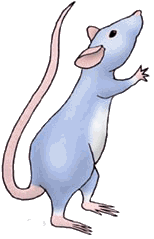 Rats Animals Animated Clipart GIF Free