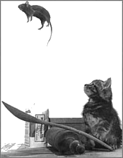 Rats Animals Animated Clipart GIF Free