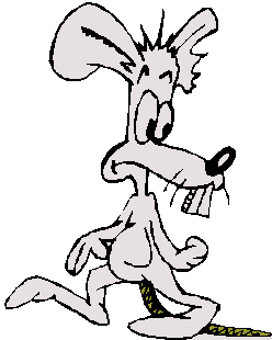 Rats Animals Animated Clipart GIF Free