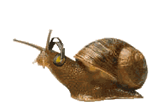 Snails Animals Animated Clipart GIF Free