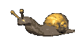 Snails Animals Animated Clipart GIF Free