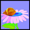Snails Animals Animated Clipart GIF Free
