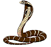 Snakes Animals Animated Clipart GIF Free