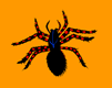 Spiders Animals Animated Clipart GIF Free
