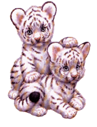 Tigers Animals Animated Clipart GIF Free
