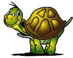 Turtles Animals Animated Clipart GIF Free