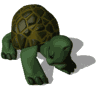 Turtles Animals Animated Clipart GIF Free