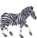 Zebras Animals Animated Clipart GIF Free